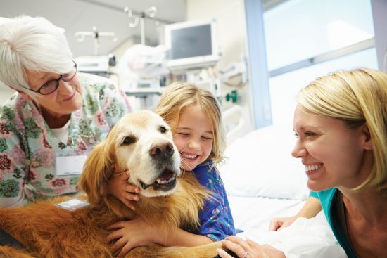 Therapy dogs may help ease children’s anxiety in ED | AAP News ...