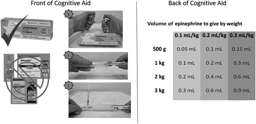 A Cognitive Aid for Neonatal Epinephrine Dosing | Hospital Pediatrics ...