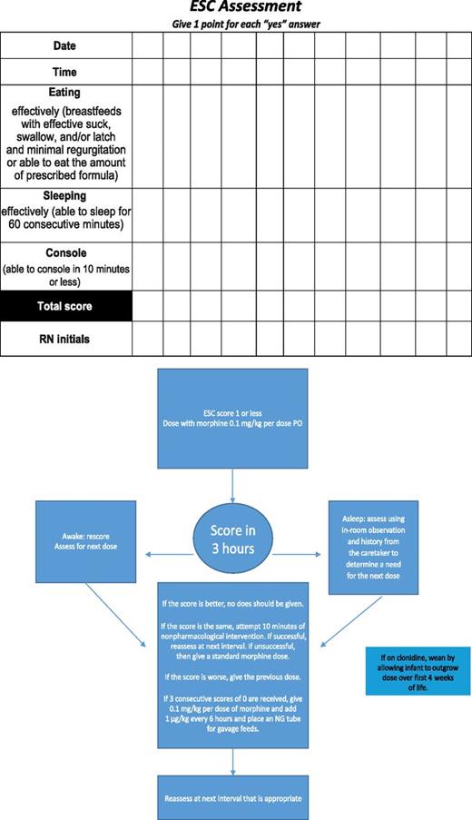 Successful Implementation of the Eat Sleep Console Model of Care for ...