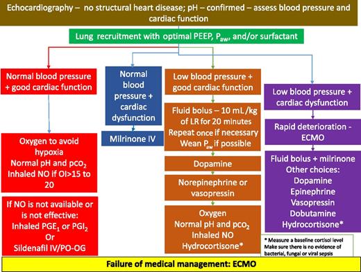 Persistent Pulmonary Hypertension of the Newborn | NeoReviews ...