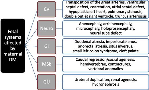 Diabetes Mellitus in Pregnancy | NeoReviews | American Academy of ...