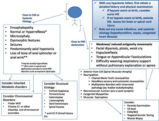 Neonatal Hypotonia | NeoReviews | American Academy of Pediatrics