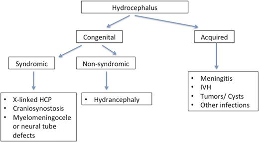 Neonatal Hydrocephalus | NeoReviews | American Academy of Pediatrics