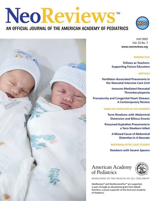 Ventilator-Associated Pneumonia in the Neonatal Intensive Care Unit ...