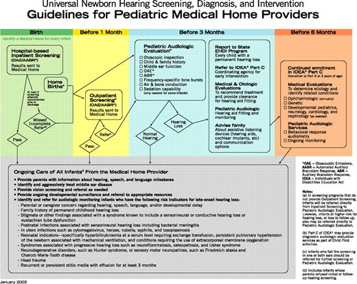 Year 2007 Position Statement: Principles and Guidelines for Early ...