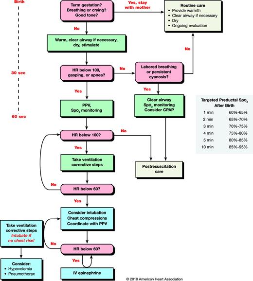 Neonatal Resuscitation: 2010 American Heart Association Guidelines for ...