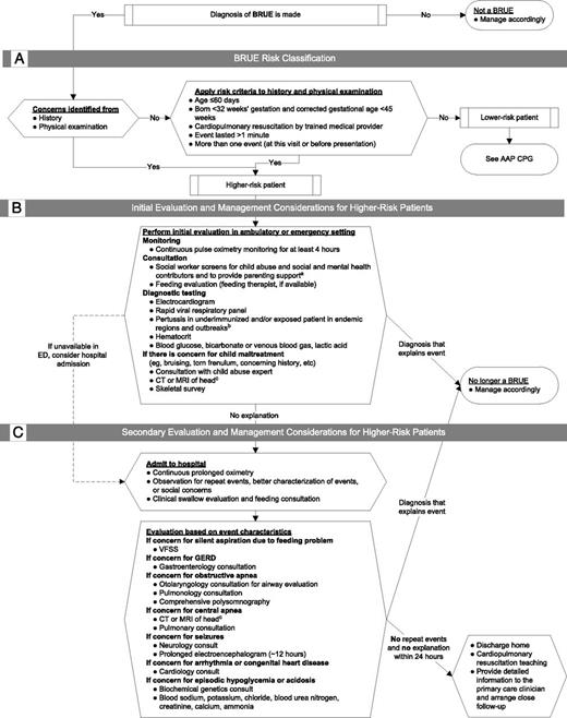A Framework for Evaluation of the Higher-Risk Infant After a Brief ...