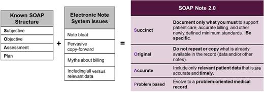Electronic Documentation in Pediatrics: The Rationale and Functionality ...