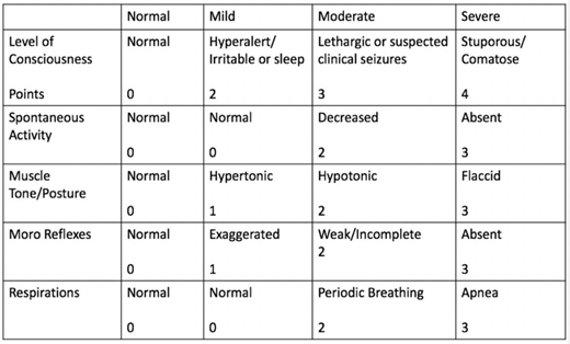 Improving the Diagnosis of Neonatal Encephalopathy: Validation of a ...