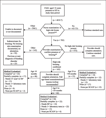Evaluation of an Emergency Department High-risk Bruising Screening ...