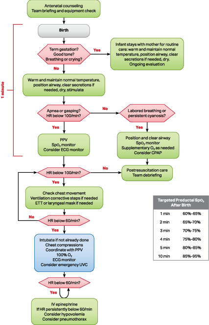 Part 5: Neonatal Resuscitation 2020 American Heart Association ...