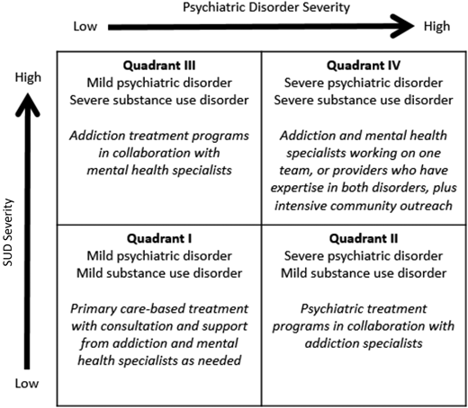 Principles of Care for Young Adults With Co-Occurring Psychiatric and ...