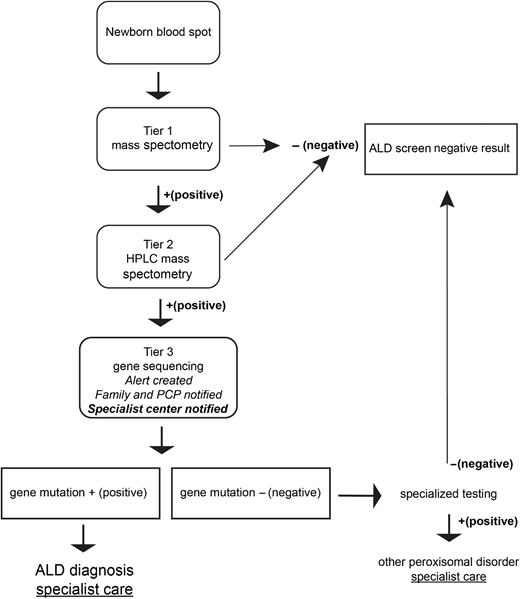 Leukodystrophies in Children: Diagnosis, Care, and Treatment ...