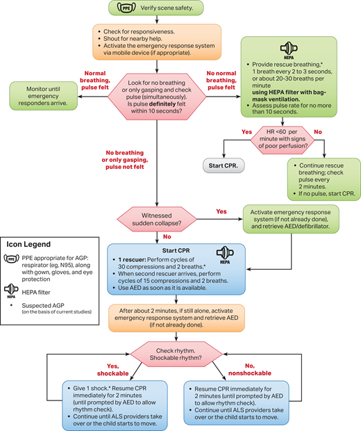 Guidance for Cardiopulmonary Resuscitation of Children With Suspected ...