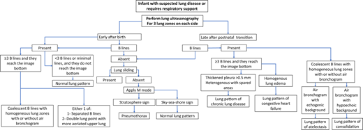 Use of Point-of-Care Ultrasonography in the NICU for Diagnostic and ...