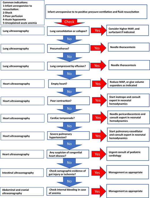 Use of Point-of-Care Ultrasonography in the NICU for Diagnostic and ...