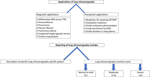 Use of Point-of-Care Ultrasonography in the NICU for Diagnostic and ...