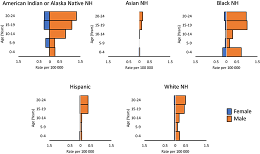 Firearm-Related Injuries and Deaths in Children and Youth | Pediatrics ...