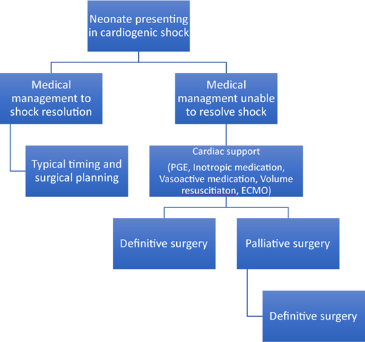 Neonatal Congenital Heart Disease Surgical Readiness and Timing ...