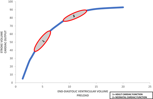 Preoperative Management of Neonates With Congenital Heart Disease ...