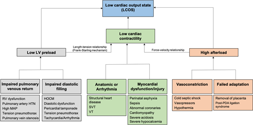 Preoperative Management of Neonates With Congenital Heart Disease ...