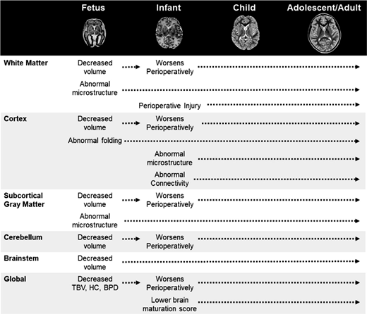 Optimizing Neurodevelopmental Outcomes in Neonates With Congenital ...