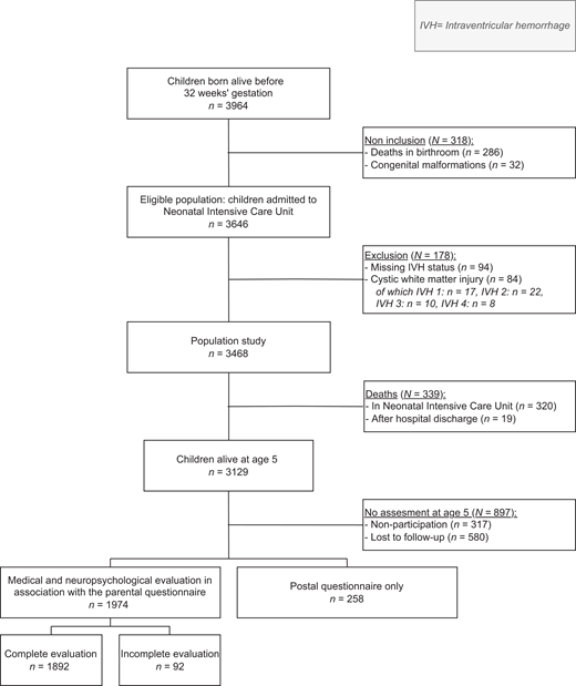 Intraventricular Hemorrhage in Very Preterm Children: Mortality and ...