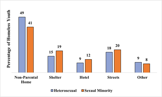 Homelessness Among Sexual Minority Youth | Pediatrics | American ...