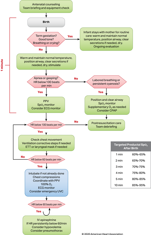 Considerations on the Use of Neonatal and Pediatric Resuscitation ...
