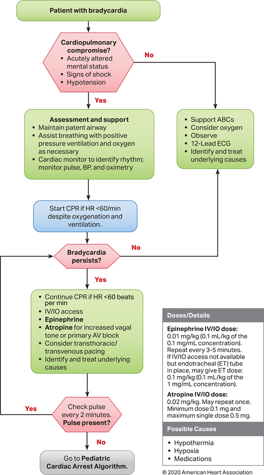 Considerations on the Use of Neonatal and Pediatric Resuscitation ...