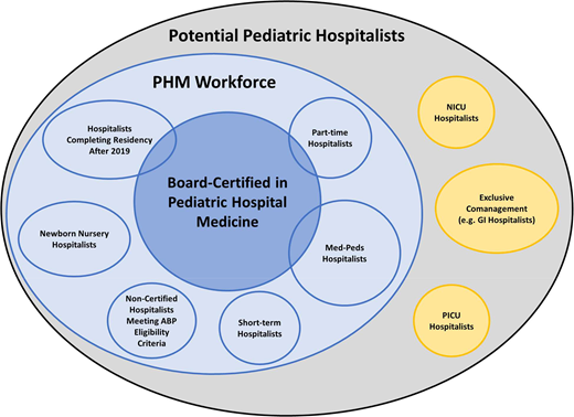 Child Health Needs and the Pediatric Hospital Medicine Workforce: 2020 ...
