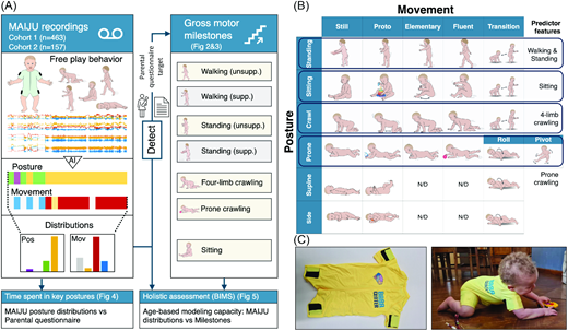 Assessing Infant Gross Motor Performance With an At-Home Wearable ...