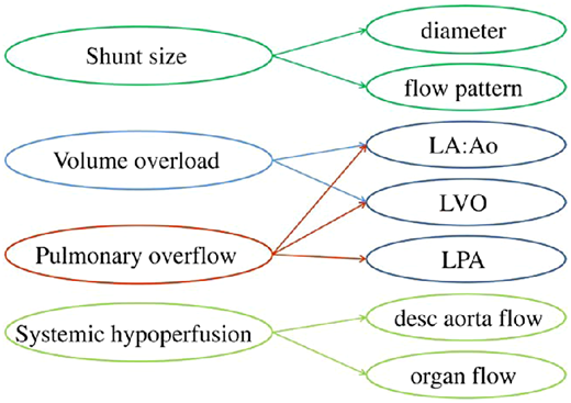 Patent Ductus Arteriosus in Preterm Infants | Pediatrics | American ...