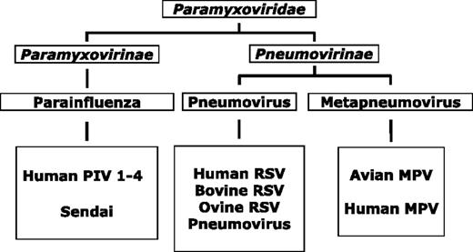Respiratory Syncytial Virus Infection and Bronchiolitis | Pediatrics In ...