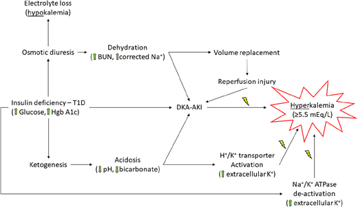 Hyperkalemia During Diabetic Ketoacidosis and the Association With ...